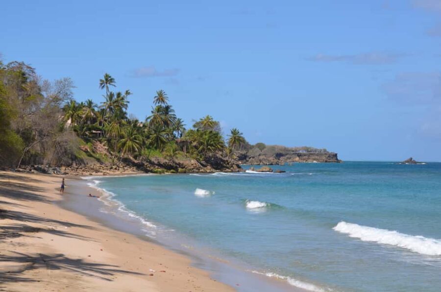 Tobago: Half-Day Highlights Tour - What This Tour Means for You