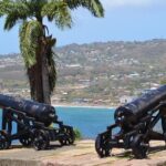 Tobago Island Tour - Sun, Sand, and Scenic Beaches