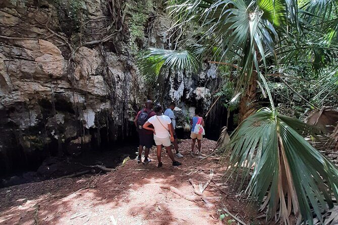 Tom Moores Jungle and Eco Tour - Authentic Experiences Backed by Reviews