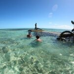 Top 4 Snorkeling Adventures in Bimini - Why This Tour Is a Great Choice