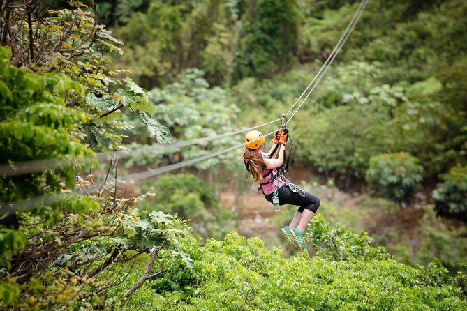 Toro Verde 7-Zipline Tour Plus the Monster with Transport - The Highlights of the Tour