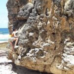 Tour Barbados Your Way - What Makes This Tour Stand Out