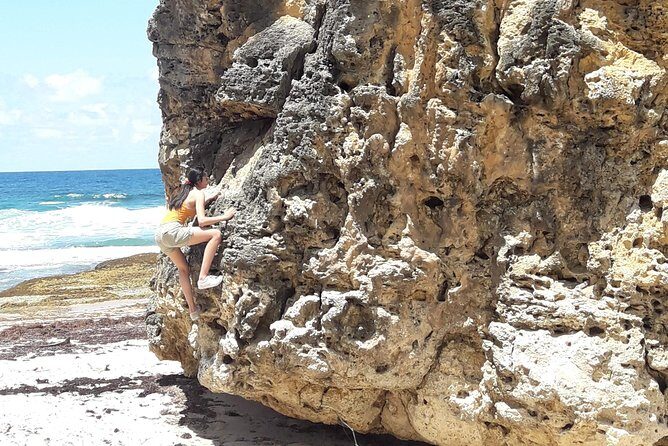 Tour Barbados Your Way - What Makes This Tour Stand Out