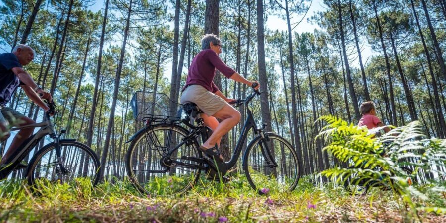 Tour: Bike and Kayak Adventure in Los Haitises National Park - An In-Depth Look at the Tour Experience