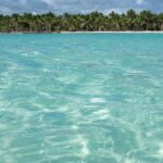Tour in Saona Island from Santo Domingo - Authentic Voices and Practical Insights