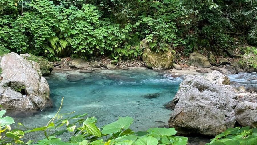 Tour por el Sendero Acuático La Plaza ¡TODO INCLUIDO! - Final Thoughts: Is It Worth It?