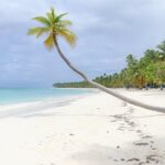 Tour Saona Island from Bayhibe / La Romana - Who Would Love This Tour?