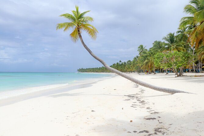 Tour Saona Island from Bayhibe / La Romana - Who Would Love This Tour?