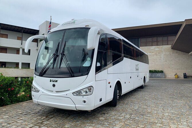 Transfer from Punta Cana Airport to Hotels in Punta Cana - Why This Transfer Is a Good Fit