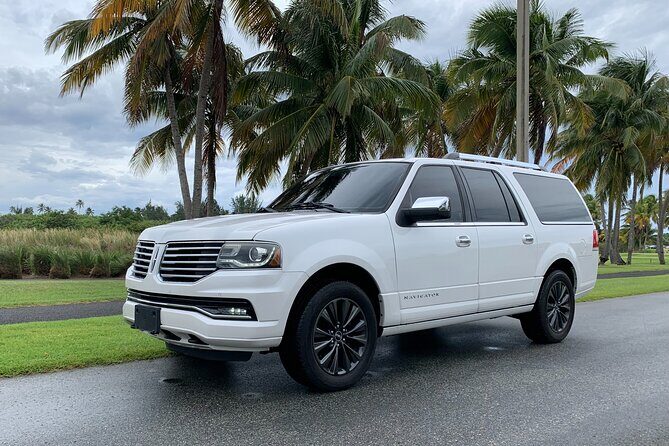 Transfer TO or FROM: Airport,Cruise,Hotel in DORADO or RIO GRANDE - The Experience in Action: Real Traveler Perspectives