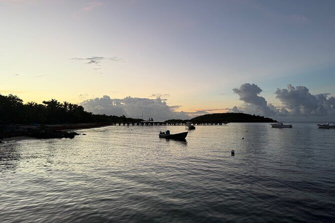 Transparent Canoes Illuminated on the Seawall of Hope - What to Expect at the Malecón de La Esperanza
