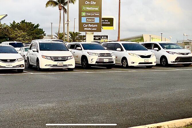 Transportation to Fajardo and Ceiba. Hotels and Airbnb vice versa One Way Trip. - The Itinerary and What to Expect