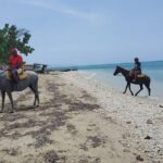 Transportation to Horse Back Ride & Swim Adventure from Ocho Rios - The Authentic Touch: Reviews and Feedback