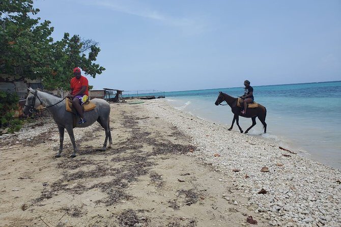 Transportation to Horse Back Ride & Swim Adventure from Ocho Rios - The Authentic Touch: Reviews and Feedback