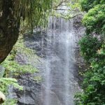 Transportation To St. Lucia Zipline Adventure - Summary: Is This Tour Right for You?