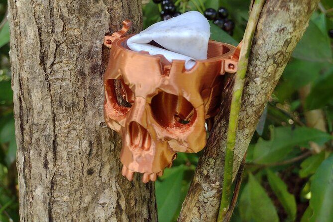 Treasure Hunt Adventure Hike and Discover Your Own Treasure - Value and Comparisons