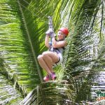 Treetop Canopy Adventure - An In-Depth Look at the Treetop Canopy Adventure