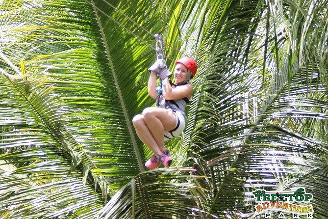 Treetop Canopy Adventure - An In-Depth Look at the Treetop Canopy Adventure