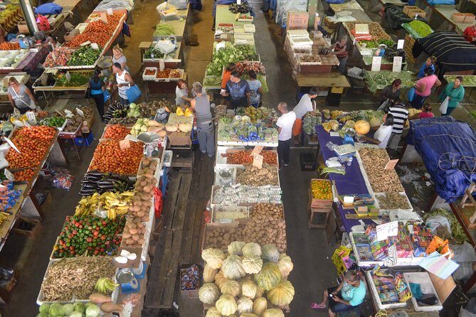 Trinidad Island Sightseeing Tour: Pitch Lake and Chaguanas - Transportation and Group Dynamics