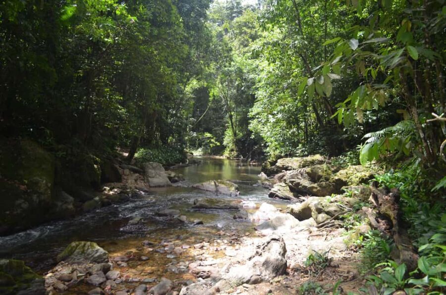 Trinidad: Rainforest Hike to Avocat Waterfall - Value and Pricing: What’s It Worth?