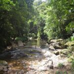 Trinidad Rainforest Hike to Waterfall - The Value of This Tour