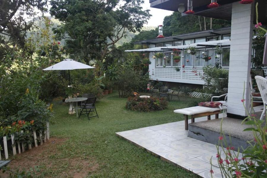 Trinidad: The Humming Bird Experience - Practical Details and What to Know