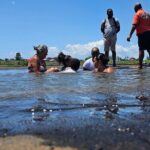 Trinidad Treasures Pitch Lake Temple and Scarlet Ibis - Who Is This Tour Best For?