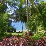 Trinidad: Zip Lining Experience & Fort George Panoramic View - Practical Details and Tips