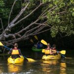 Trio Tour: El Yunque, Luquillo Beach, and Bio Bay Night Kayaking - What to Expect and Why It Matters