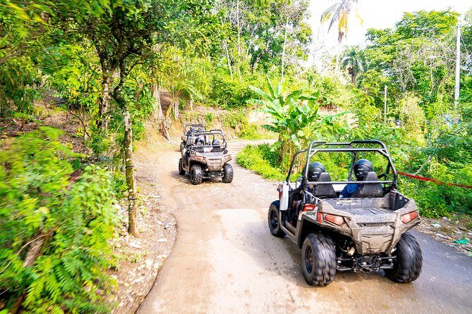 Triple fun! Monkeyland + Damajagua Waterfalls + Buggies from Puerto Plata - Testimonials and Authentic Perspectives