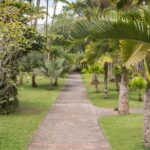 Tropical Island Private Tour of Martinique - Practical Aspects and Value