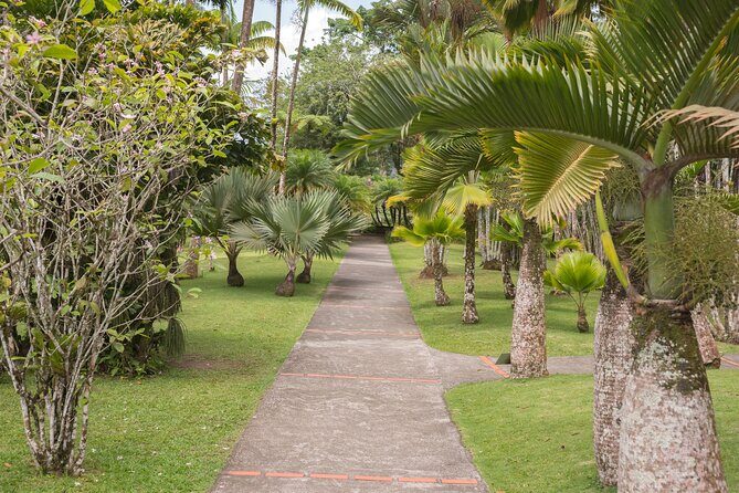 Tropical Island Private Tour of Martinique - Practical Aspects and Value