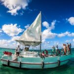Tropical Punta Cana Booze Cruise  Snorkel, Sandbar & Party Vibes - The Sum Up