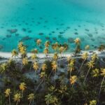 Tropical Quads (2 PERSONS PER QUADS ) - What’s Included and What to Keep in Mind