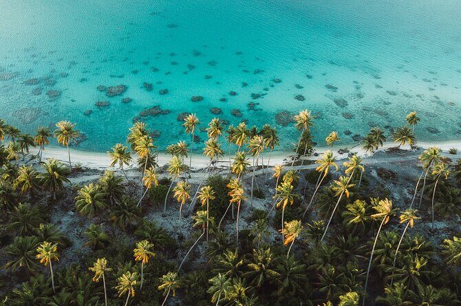 Tropical Quads (2 PERSONS PER QUADS ) - What’s Included and What to Keep in Mind