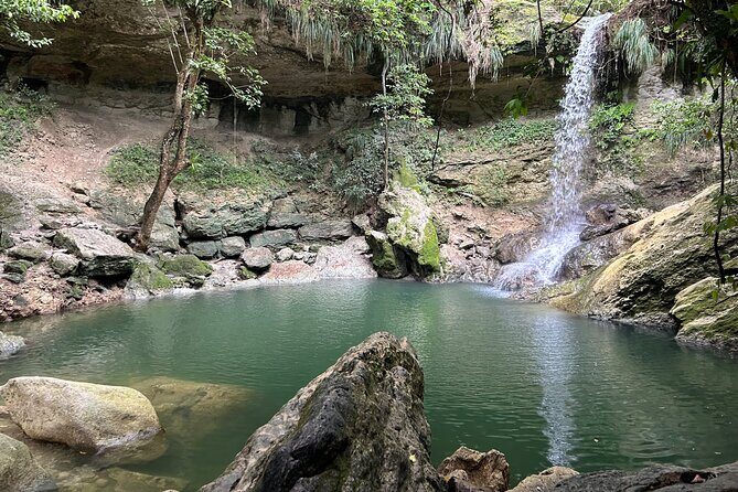 Tropical Rainforest Luxury Experiences - Authenticity and Value for Money