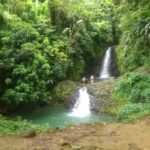"Tropically Yours" Waterfall Nature Hike. - Transition to the Rainforest