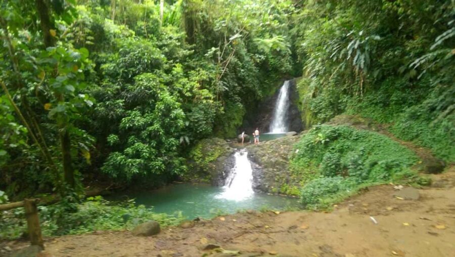 "Tropically Yours" Waterfall Nature Hike. - Transition to the Rainforest