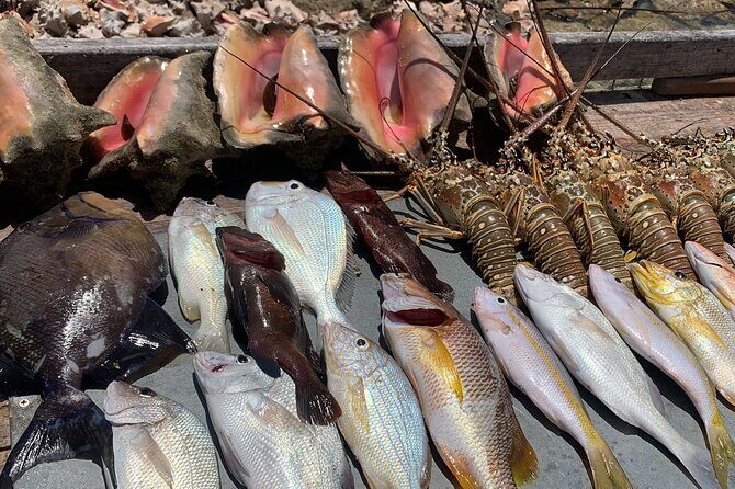 Turks And Caicos 4 Hours Fishing Experience - Who Is This Tour Best For?