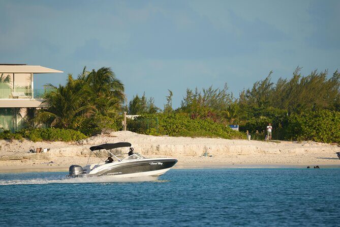 Turks and Caicos Island Snorkeling Adventure - Who Will Love This Tour?