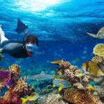 Turtle and Shipwreck Snorkel Private Tour in Barbados - Who Will Love This Tour?