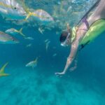 Turtle Snorkel Sail on Buck Island from Frenchman's Reef - Is This Tour Worth It? Analyzing the Value