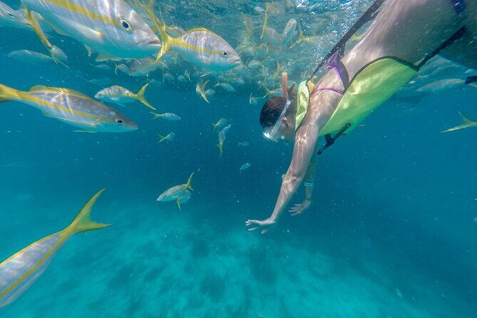 Turtle Snorkel Sail on Buck Island from Frenchman's Reef - Is This Tour Worth It? Analyzing the Value
