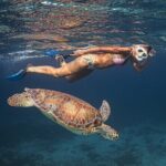 Turtle Snorkeling Aruba: Private Tour with Video - Why This Tour Resonates with Travelers