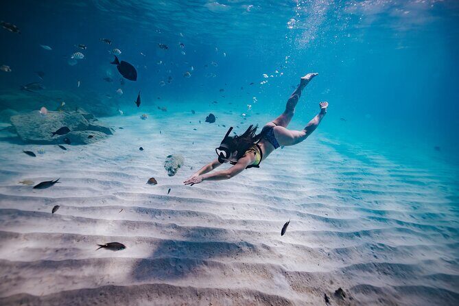 Turtle Spotting Snorkel Malmok And Tres Trapi - Itinerary Breakdown: What to Expect