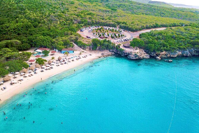 Turtle Swim at TurtleBay visit Flamingos & KnipBeach Safari Truck - Who Will Love This Tour?