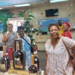 Twin City Shopping Tour - Exploring the French Side: Marigot