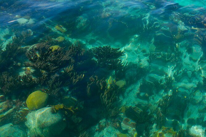 Two Stop Snorkel and Shipwreck from Dockyard - The Sum Up: Who Will Love This Tour?