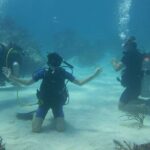 Two Tank Dive in Montego Bay w/Certified Divers - Second Dive and Return