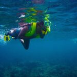 Ultimate Beginner Snorkeling Tour - Who Should Book This Tour?